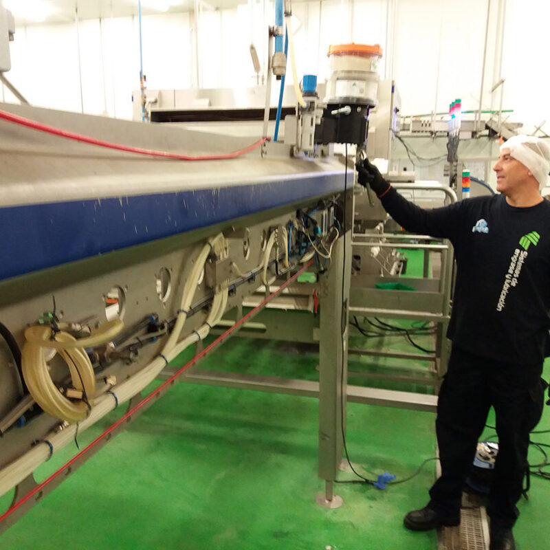 Aplicación Engrase. Sector Alimentación - TRIBOLUTION - Sistemas de lubricación y engrase ...